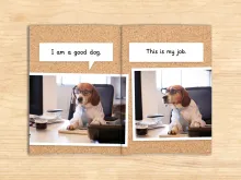 Phase 2-3 Class Pack | Anima Phonics